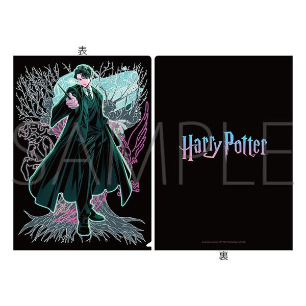 Harry Potter Clearfile - Tom Riddle - Animate Exclusive (DIN A4 ...
